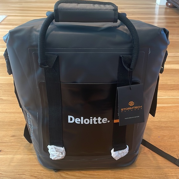 deloitte | Bags | Deloitte Saturna Cooler Bag Nwt | Poshmark